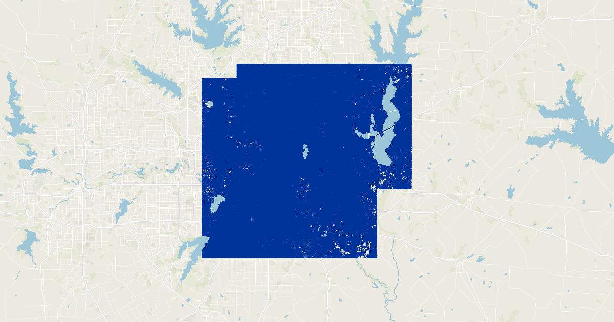 City of Dallas, Texas Two Foot Contours (2009) | Koordinates