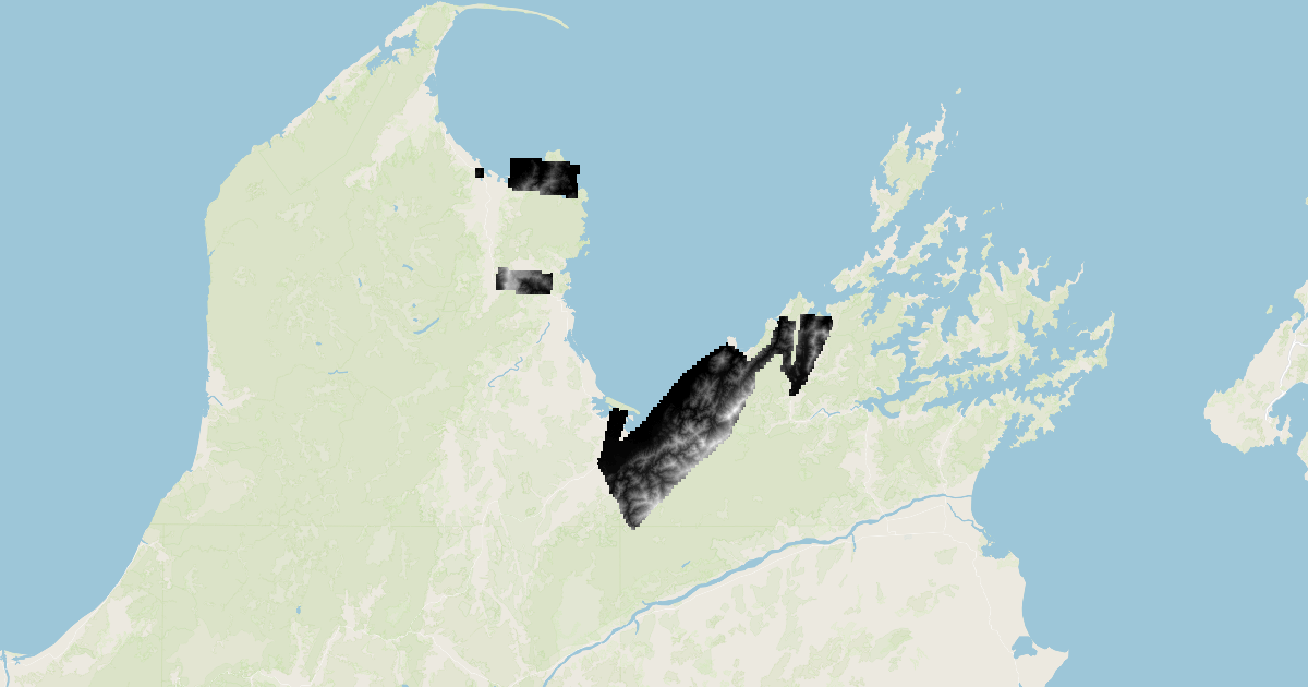 Nelson and Tasman - Top of the South Flood LiDAR 1m DSM (2022) | LINZ ...