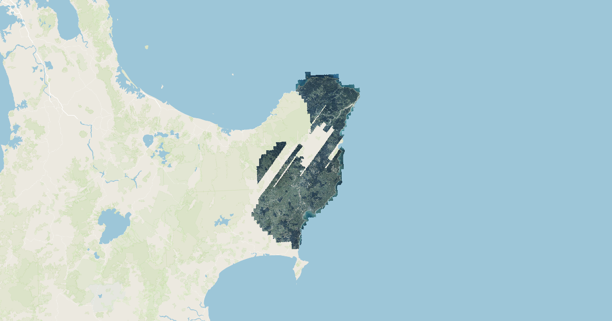 Gisborne 0.2m Cyclone Gabrielle Aerial Photos (2023) | LINZ Data Service