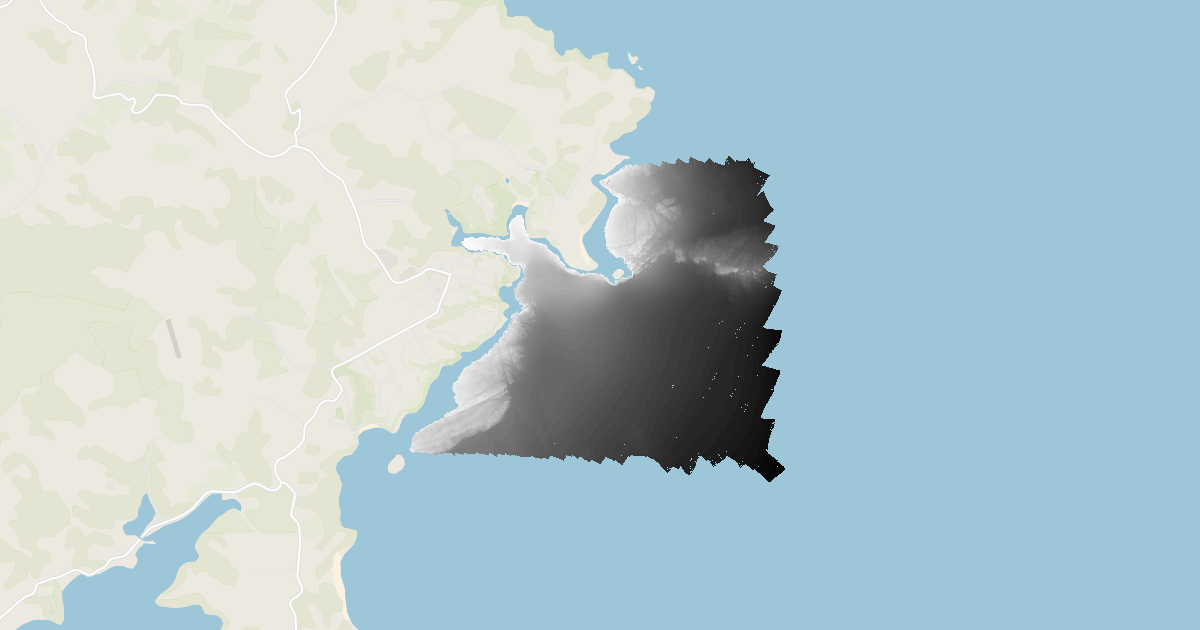 Omaha Cove Multibeam 1m Depth Model (2014) | LINZ Data Service