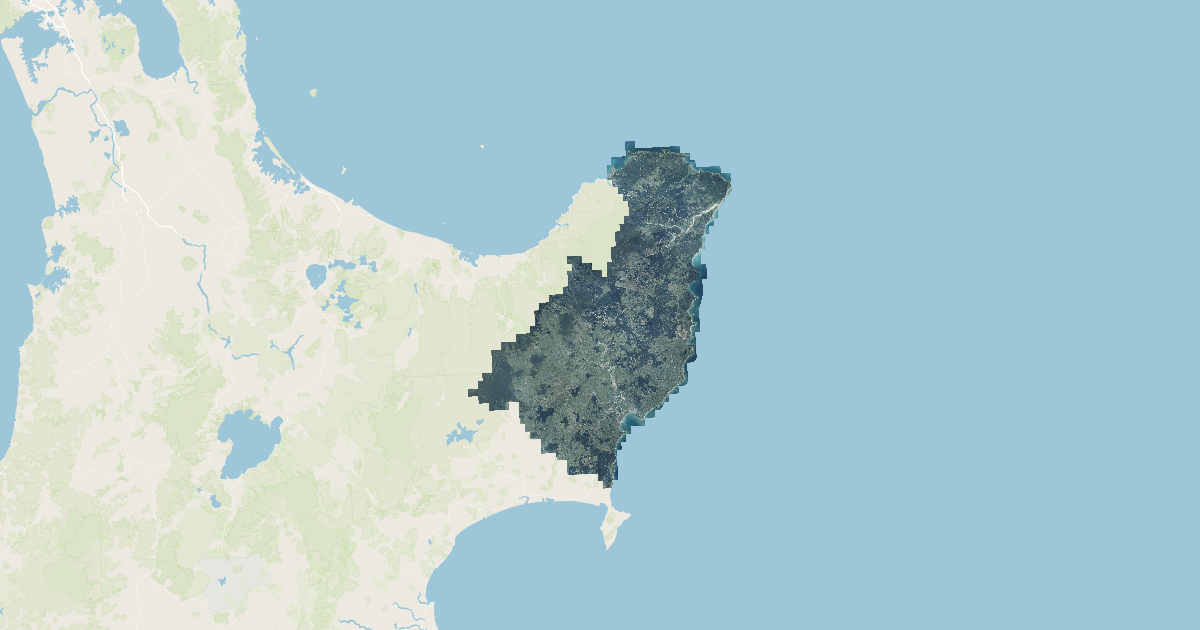 Gisborne 0.2m Rural Aerial Photos (2023-2024) | LINZ Data Service